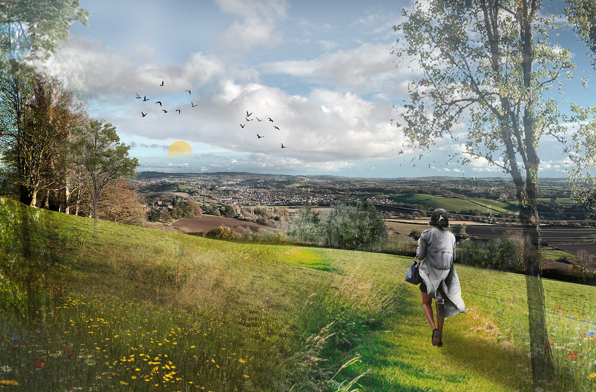 Bradmore Hilltop Park Master Plan